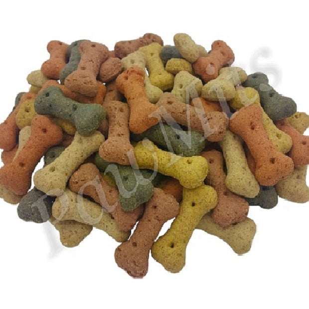 Pointer - Assorted Mini Bones – PawMits