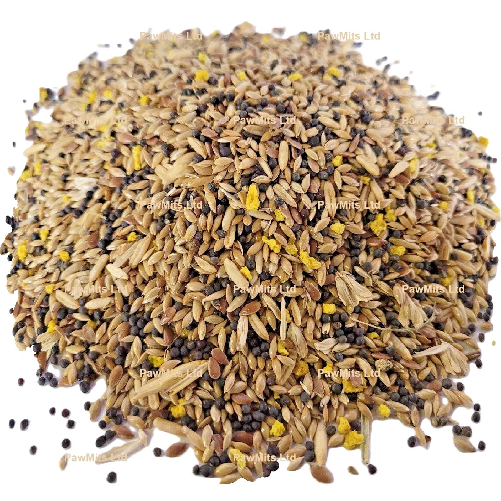 Mixed Canary No.2 | PawMits Pet Supplies
